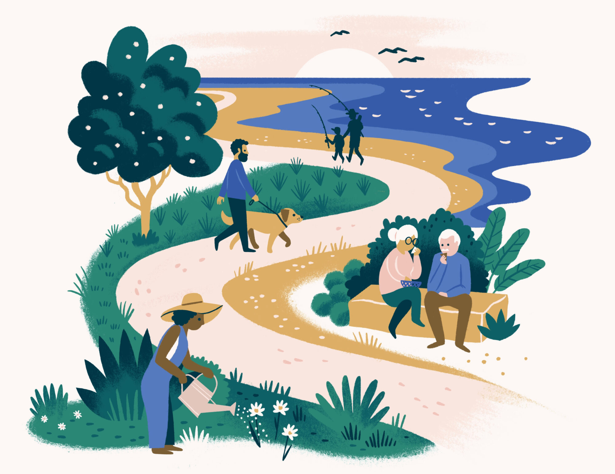 Dolphin Waters Burrum Heads